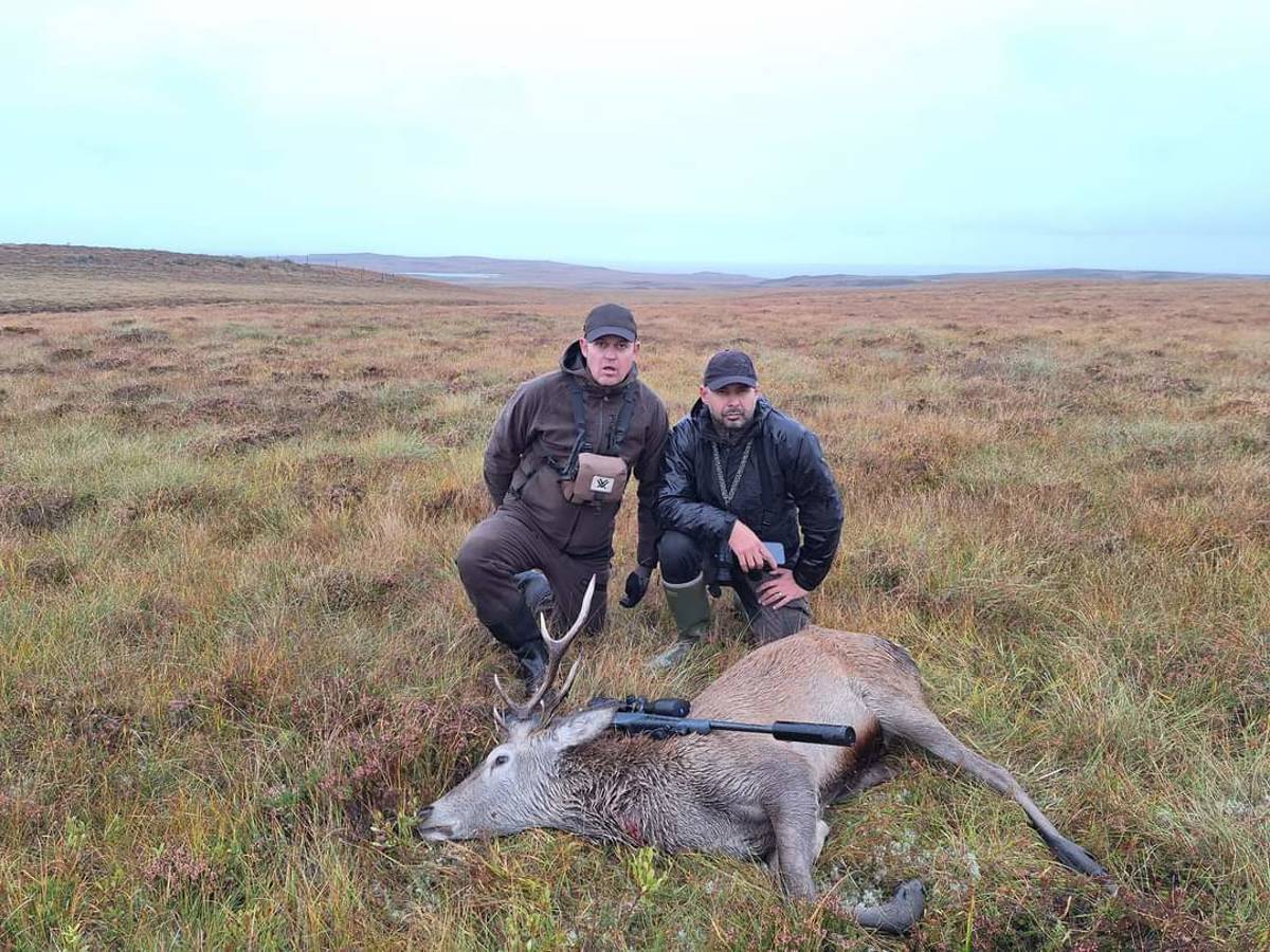 Trophy Red Stag Hunting Scotland