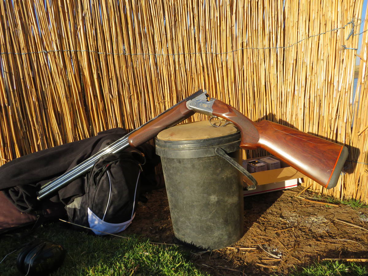7 Day Dove & Pigeon Shooting / North West, South Africa - BookYourHunt.com