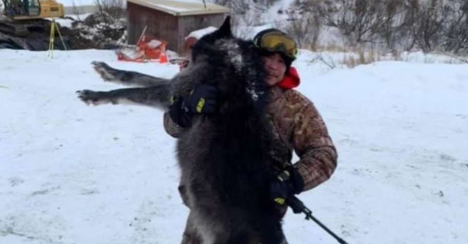 Hunting trips from High Cache Alaskan Outfitters - BookYourHunt.com