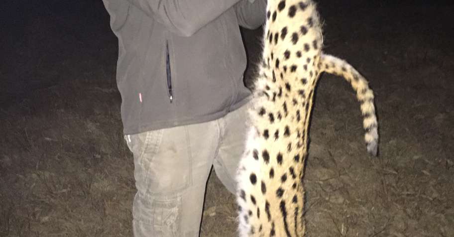 Aardwolf hunting trips - BookYourHunt.com