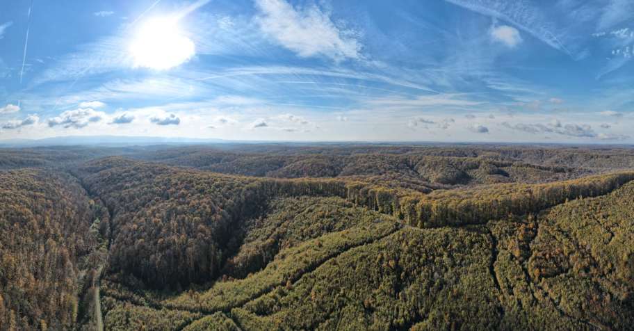 Wild Boar hunting trips - BookYourHunt.com