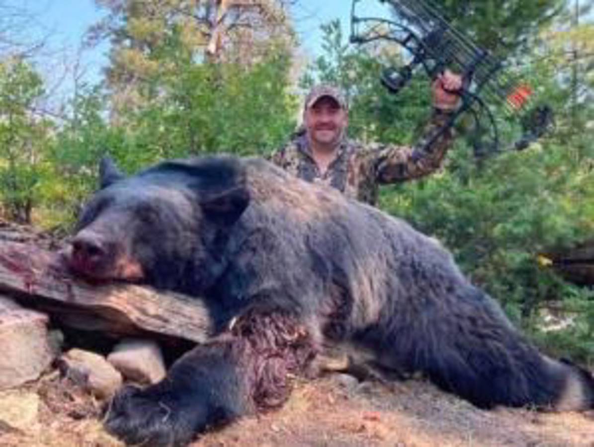 SHOW SEASON SPECIAL- BLACK BEAR / Arizona, United States - BookYourHunt.com