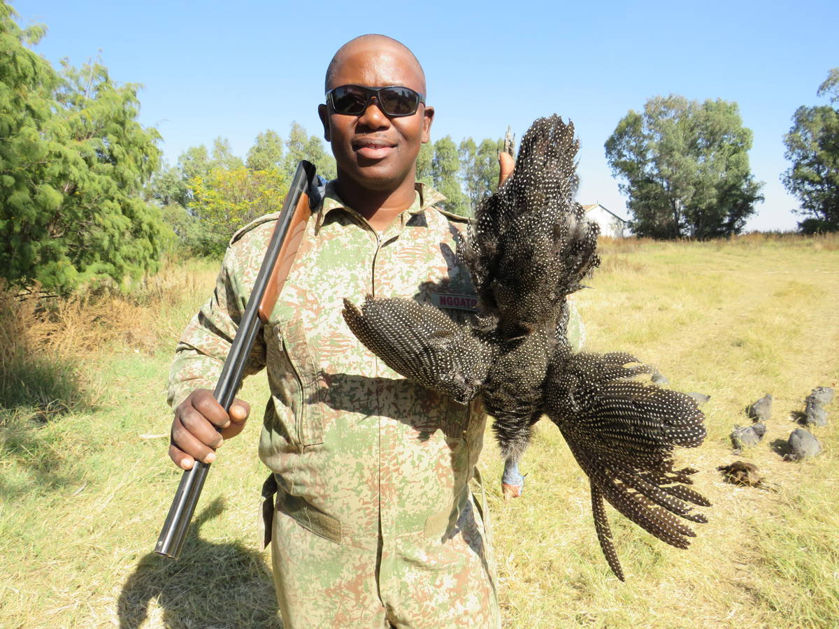 7 Day Wingshooting / North West, South Africa - BookYourHunt.com