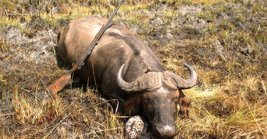 Red River Hog hunting trips - BookYourHunt.com