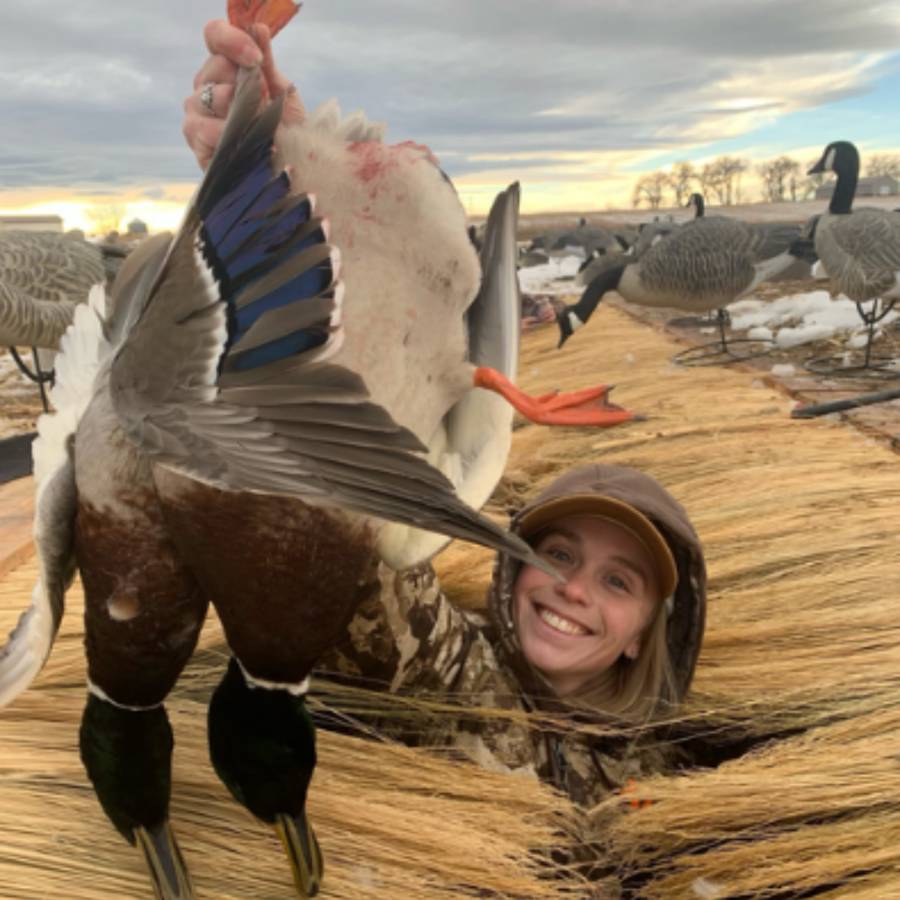 Duck Hunt over Pond '24 / Colorado, United States - BookYourHunt.com
