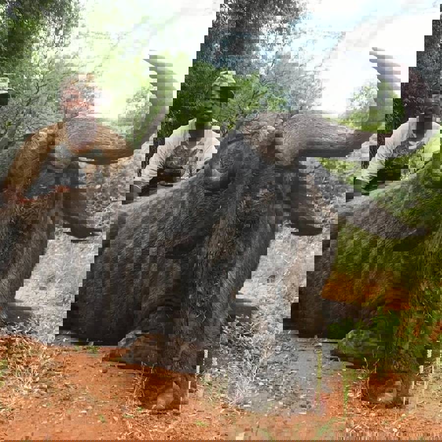 7 Day African Plains Intro (2x1) / North West, South Africa ...