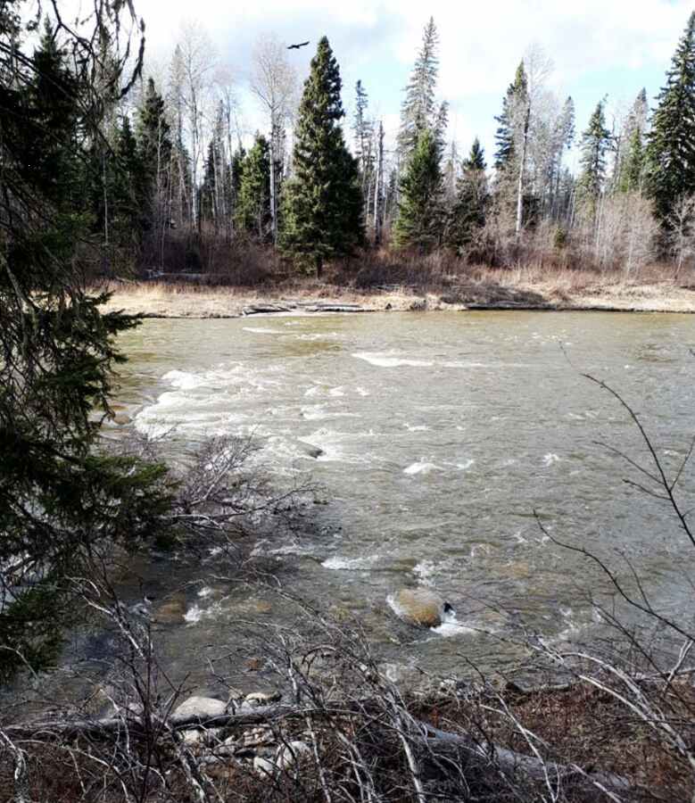 Hunting trips on "Saskatchewan - Central" territory - BookYourHunt.com