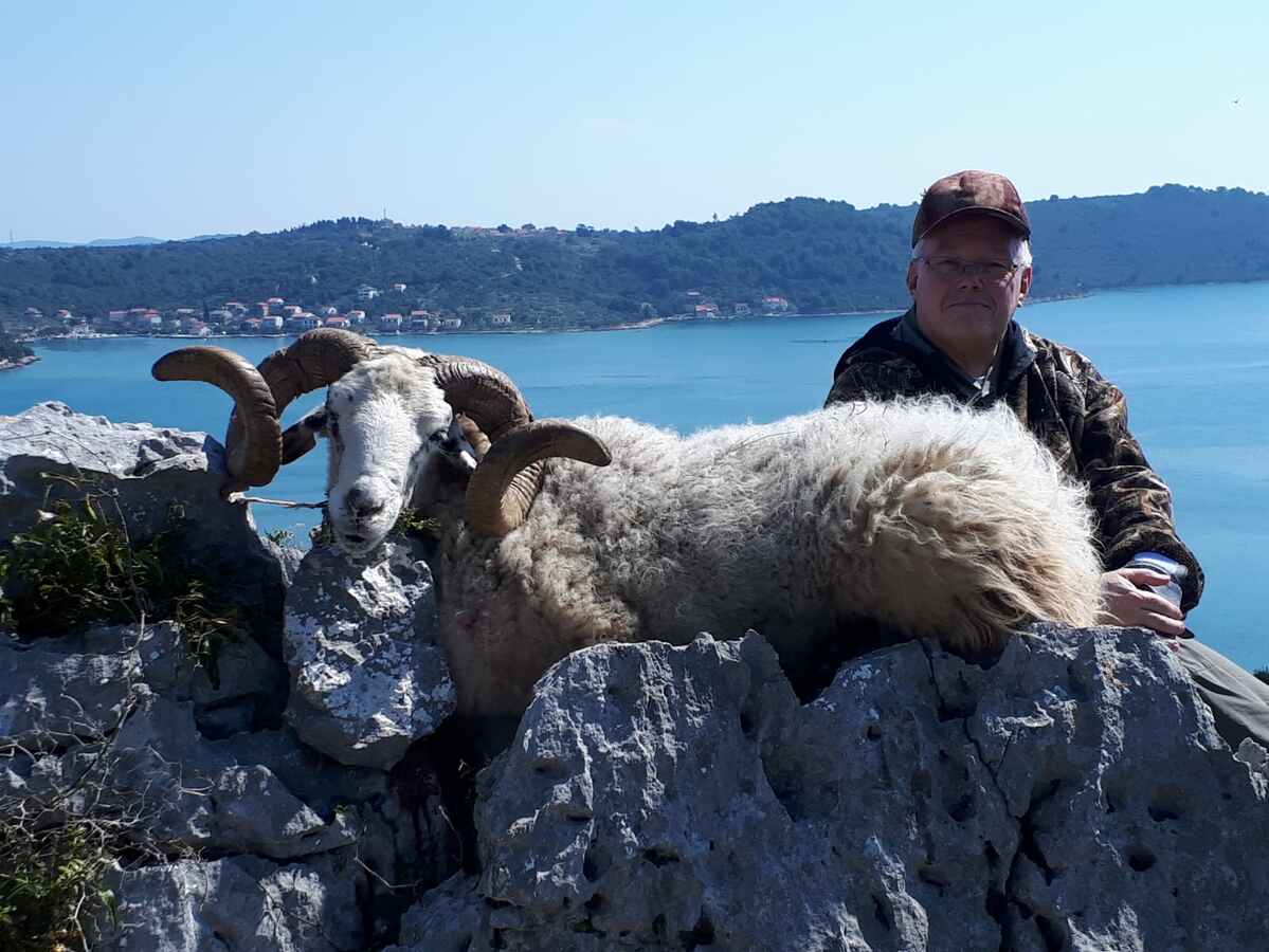 Kri-Kri Hybrid Ibex + Dalmatian Sheep / Croatia - BookYourHunt.com