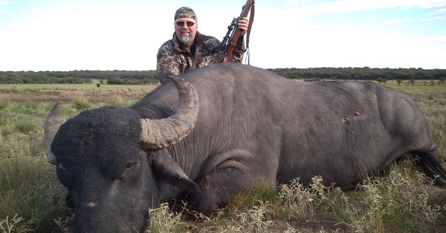 Water Buffalo hunting trips - BookYourHunt.com