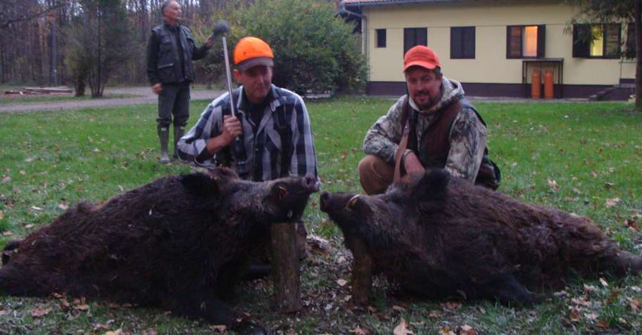 Croatia hunting trips - BookYourHunt.com