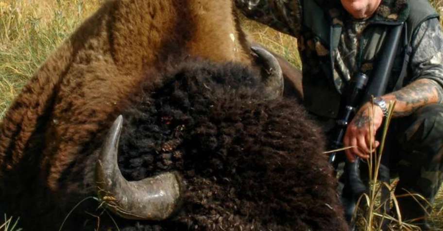 Bison hunting trips - BookYourHunt.com