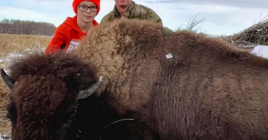 Bison hunting trips - BookYourHunt.com