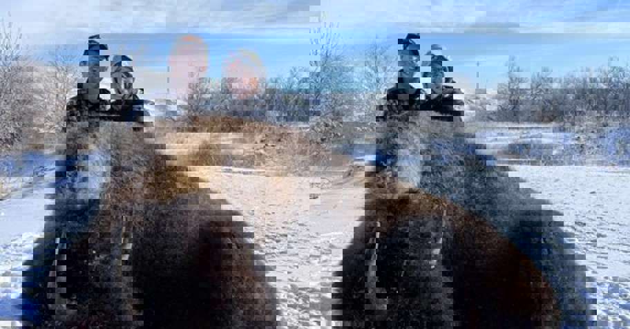 Bison hunting trips - BookYourHunt.com