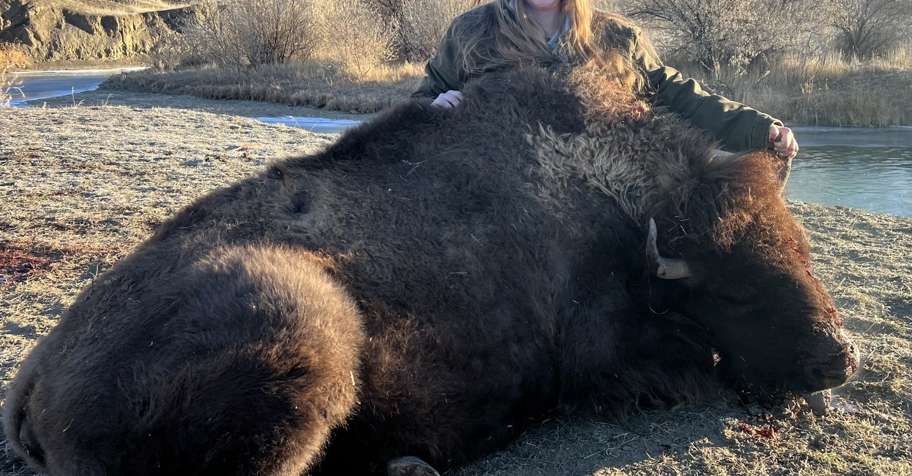 Bison hunting trips - BookYourHunt.com