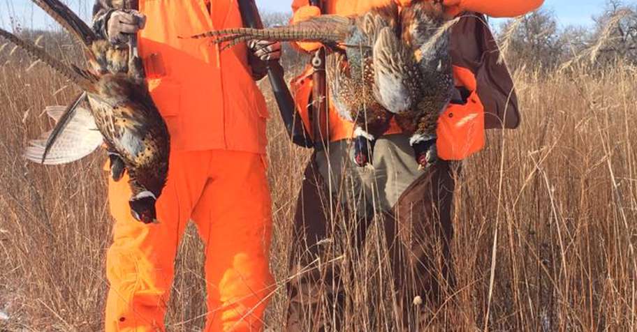 Nebraska hunting trips - BookYourHunt.com