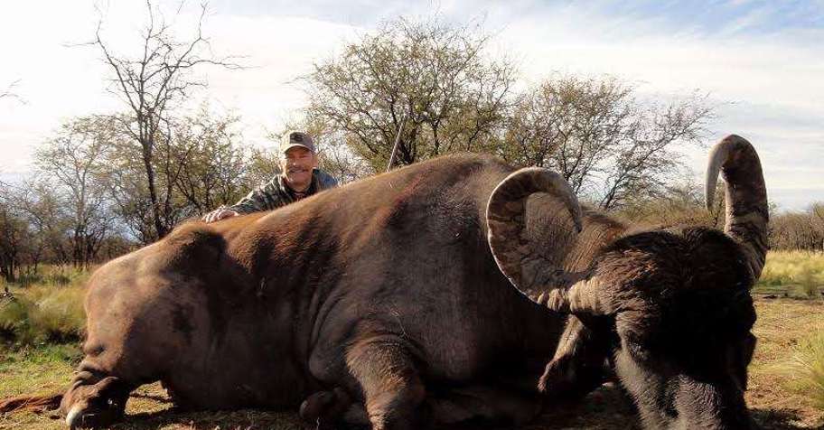Water Buffalo hunting trips - BookYourHunt.com