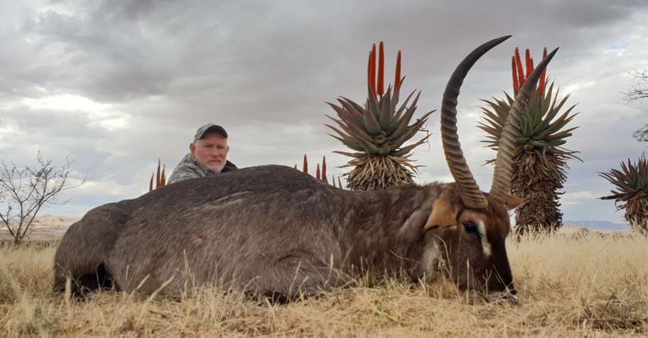 Aardwolf hunting trips - BookYourHunt.com