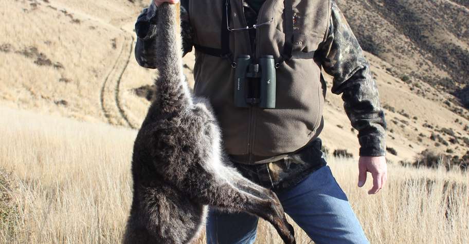New Zealand hunting trips - BookYourHunt.com