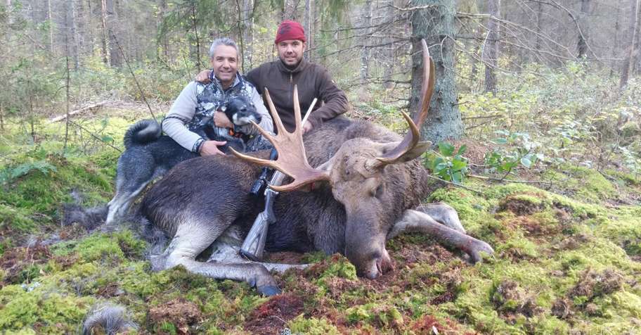 Estonia hunting trips - BookYourHunt.com