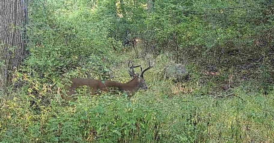 Rhode Island hunting trips - BookYourHunt.com