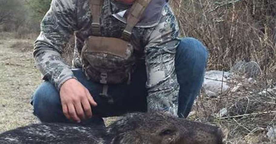 Javelina hunting trips - BookYourHunt.com