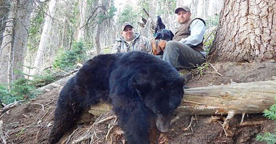North America hunting trips - BookYourHunt.com