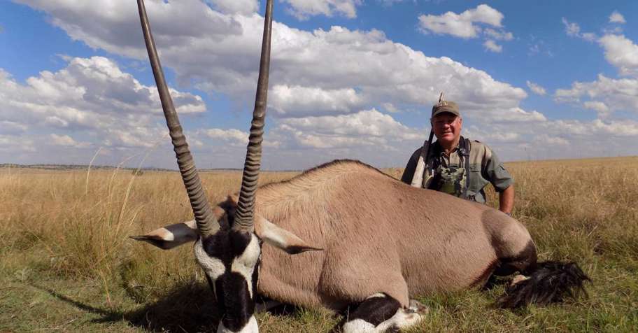 Saddleback Impala hunting trips - BookYourHunt.com