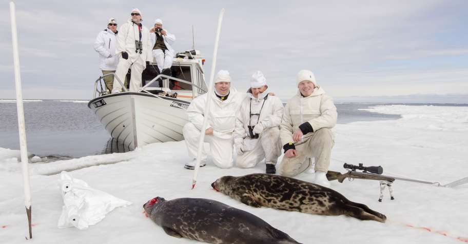 Finland hunting trips - BookYourHunt.com