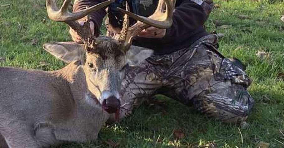 Alabama hunting trips - BookYourHunt.com