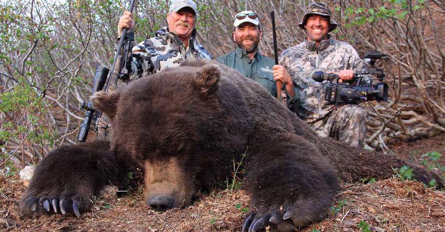 Brown Bear hunting trips - BookYourHunt.com