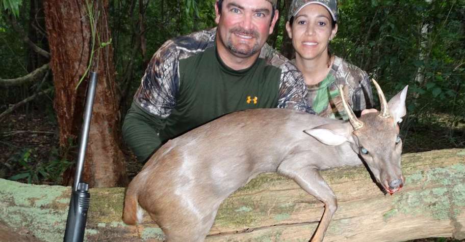Brown Brocket Deer hunting trips - BookYourHunt.com