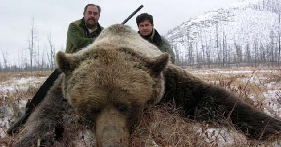 Siberian Brown Bear hunting trips - BookYourHunt.com