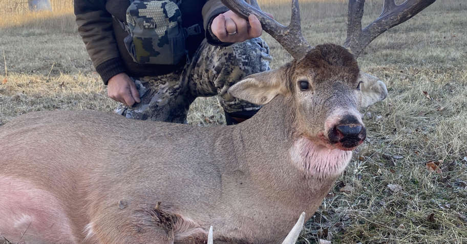 North America hunting trips - BookYourHunt.com