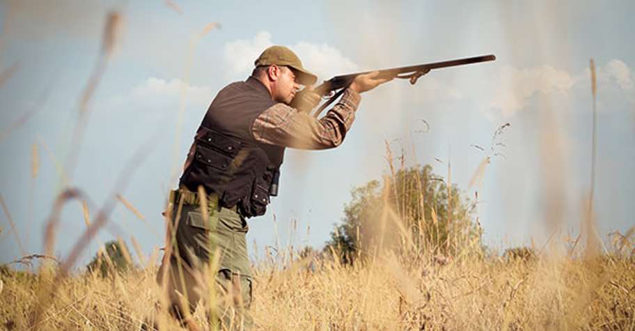 Snipe hunting trips - BookYourHunt.com