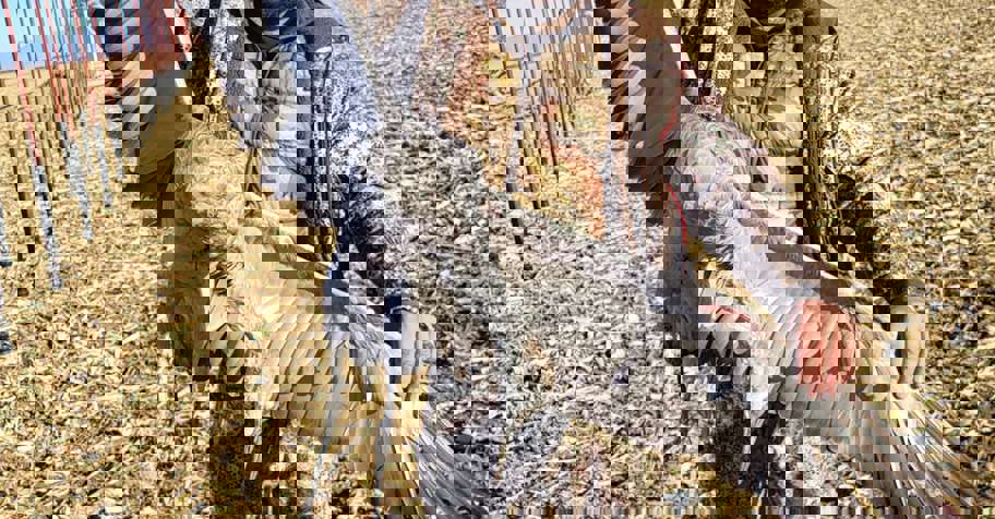 Arizona hunting trips - BookYourHunt.com