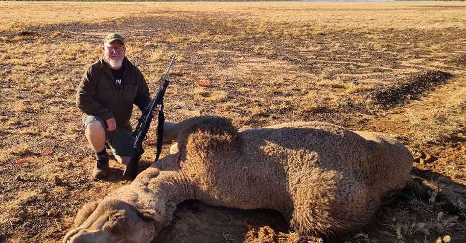 Camel hunting trips - BookYourHunt.com