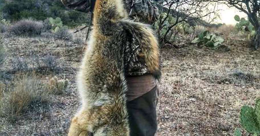Arizona hunting trips - BookYourHunt.com