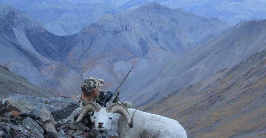 Dall Sheep hunting trips - BookYourHunt.com