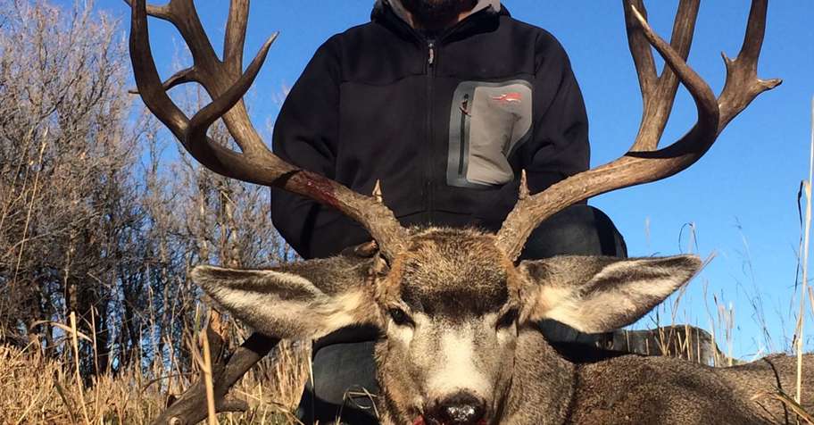 Colorado hunting trips - BookYourHunt.com