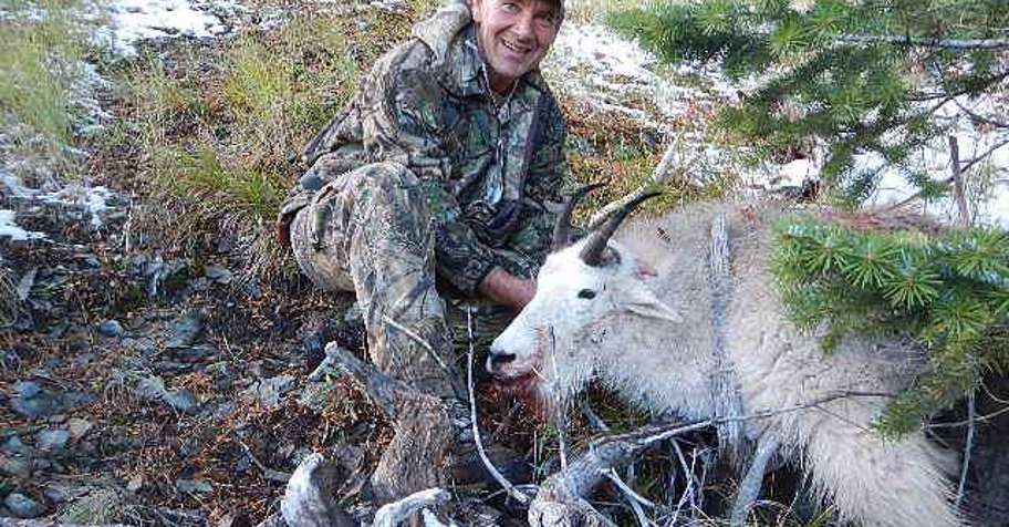 Mountain Goat hunting trips - BookYourHunt.com