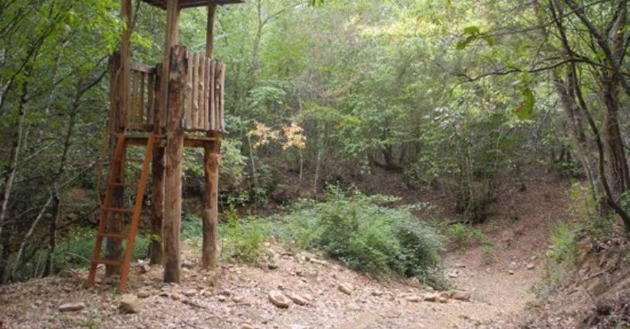 Italy hunting trips - BookYourHunt.com