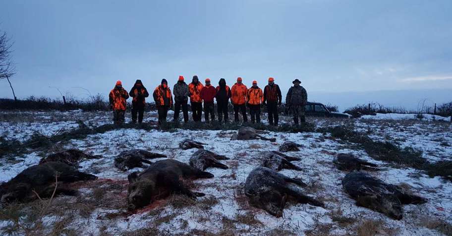 Hungary hunting trips - BookYourHunt.com