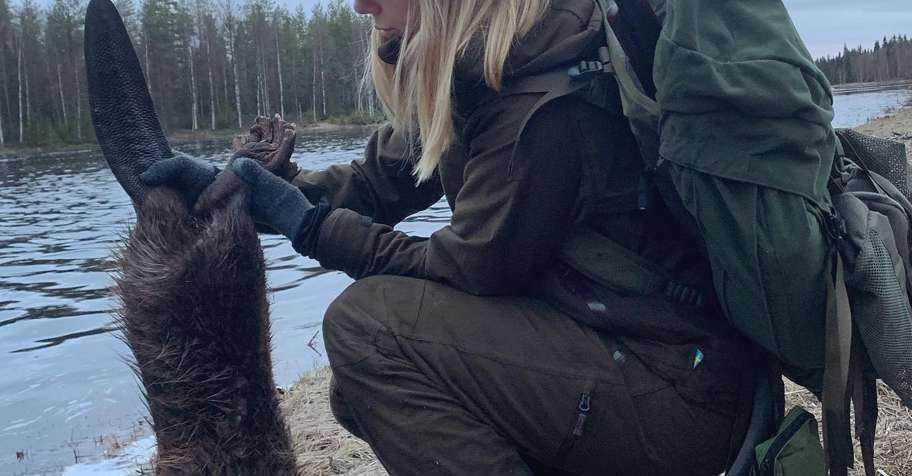 Sweden hunting trips - BookYourHunt.com