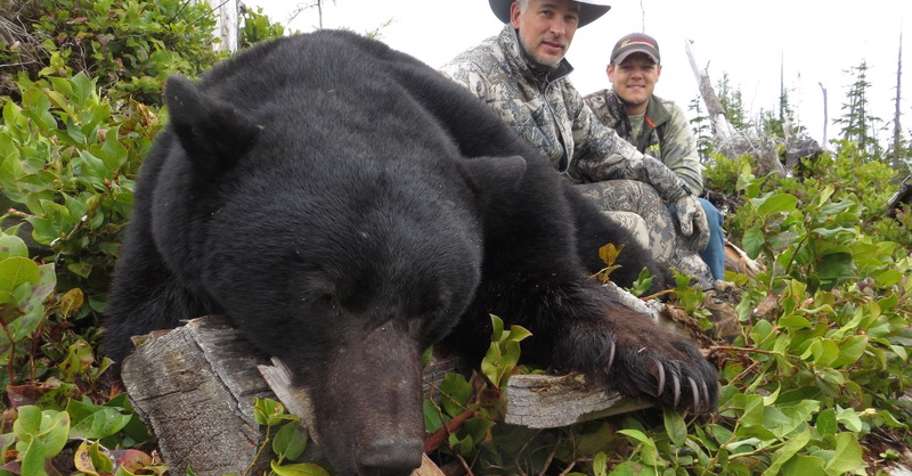 North America hunting trips - BookYourHunt.com