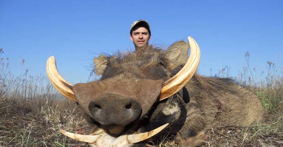 Aardwolf hunting trips - BookYourHunt.com