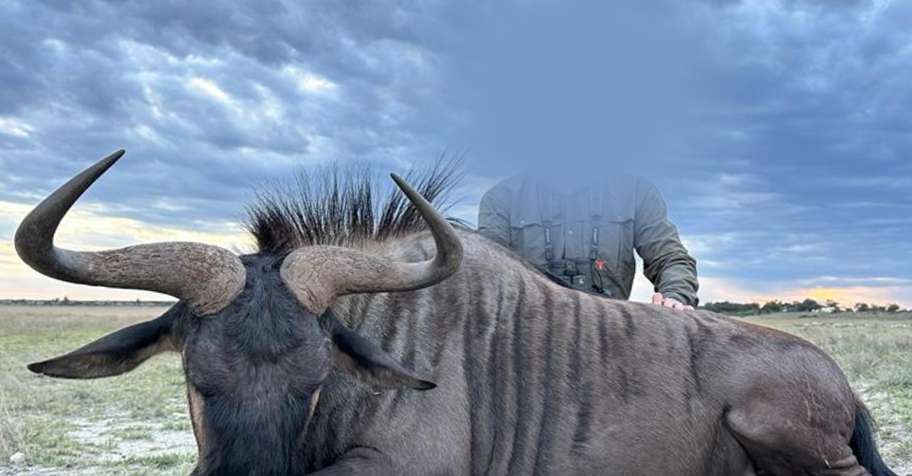 Africa hunting trips - BookYourHunt.com