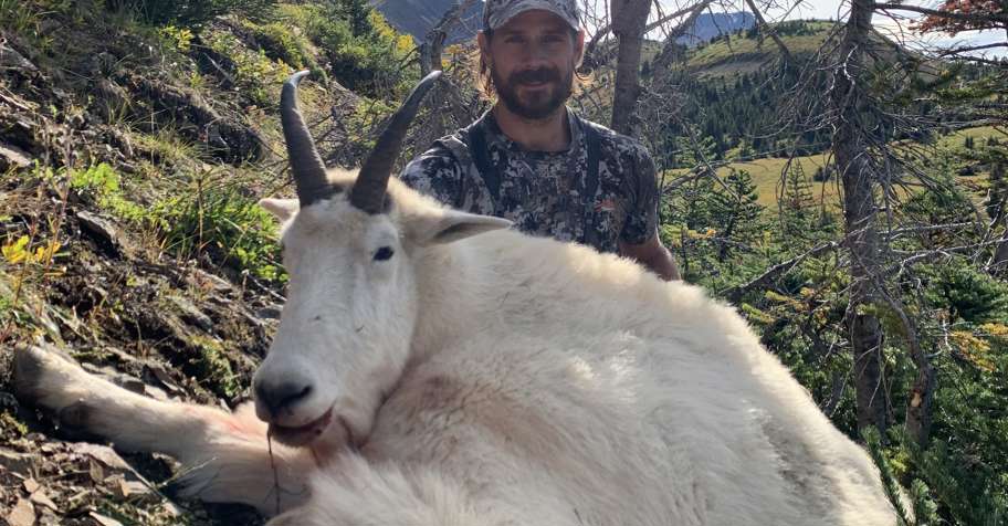 Mountain Goat hunting trips - BookYourHunt.com