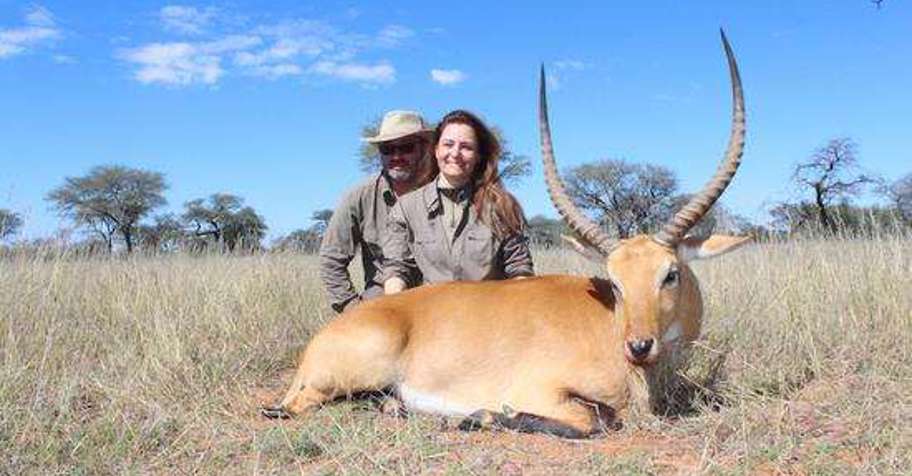 Springbok hunting trips - BookYourHunt.com
