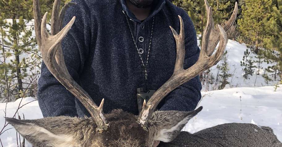 Mule Deer hunting trips - BookYourHunt.com