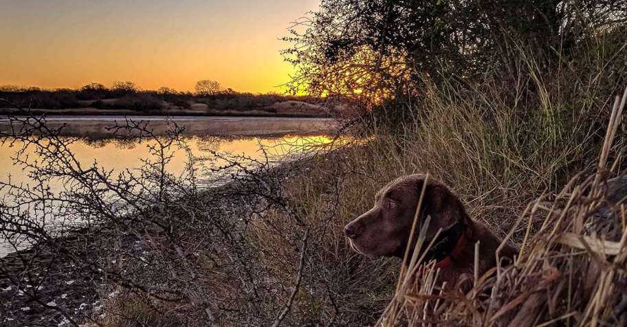 United States hunting trips - BookYourHunt.com